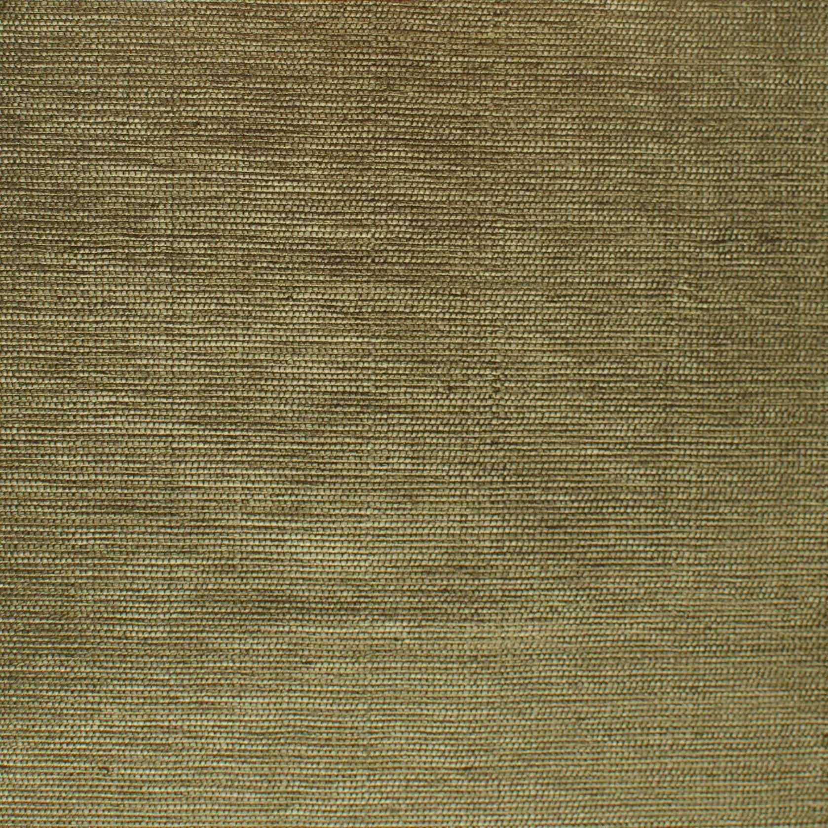 ROY-55 Silver – Intex